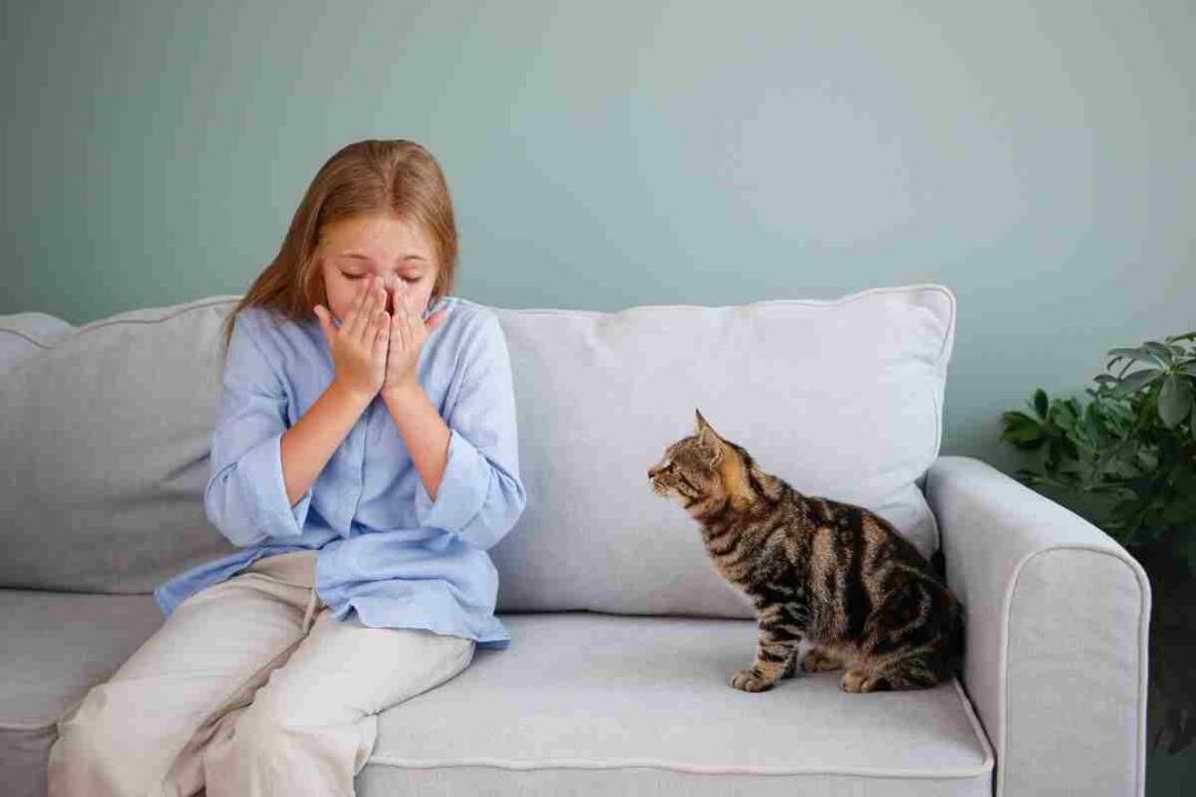 4 façons de savoir si on est allergique au chat
